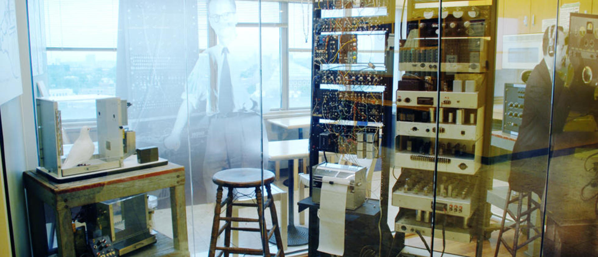 In the Lab With Stevens & Skinner | Collection of Historical Scientific ...